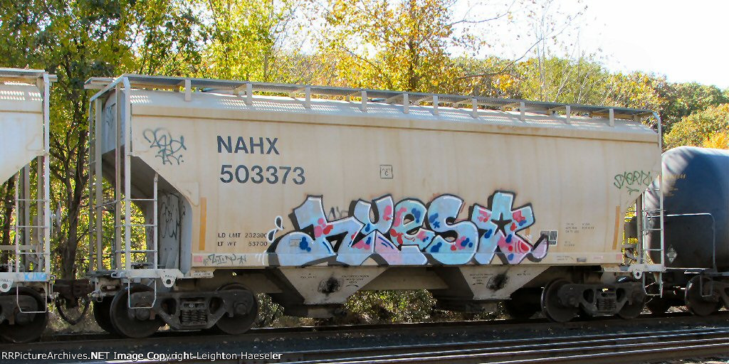 NAHX 503373